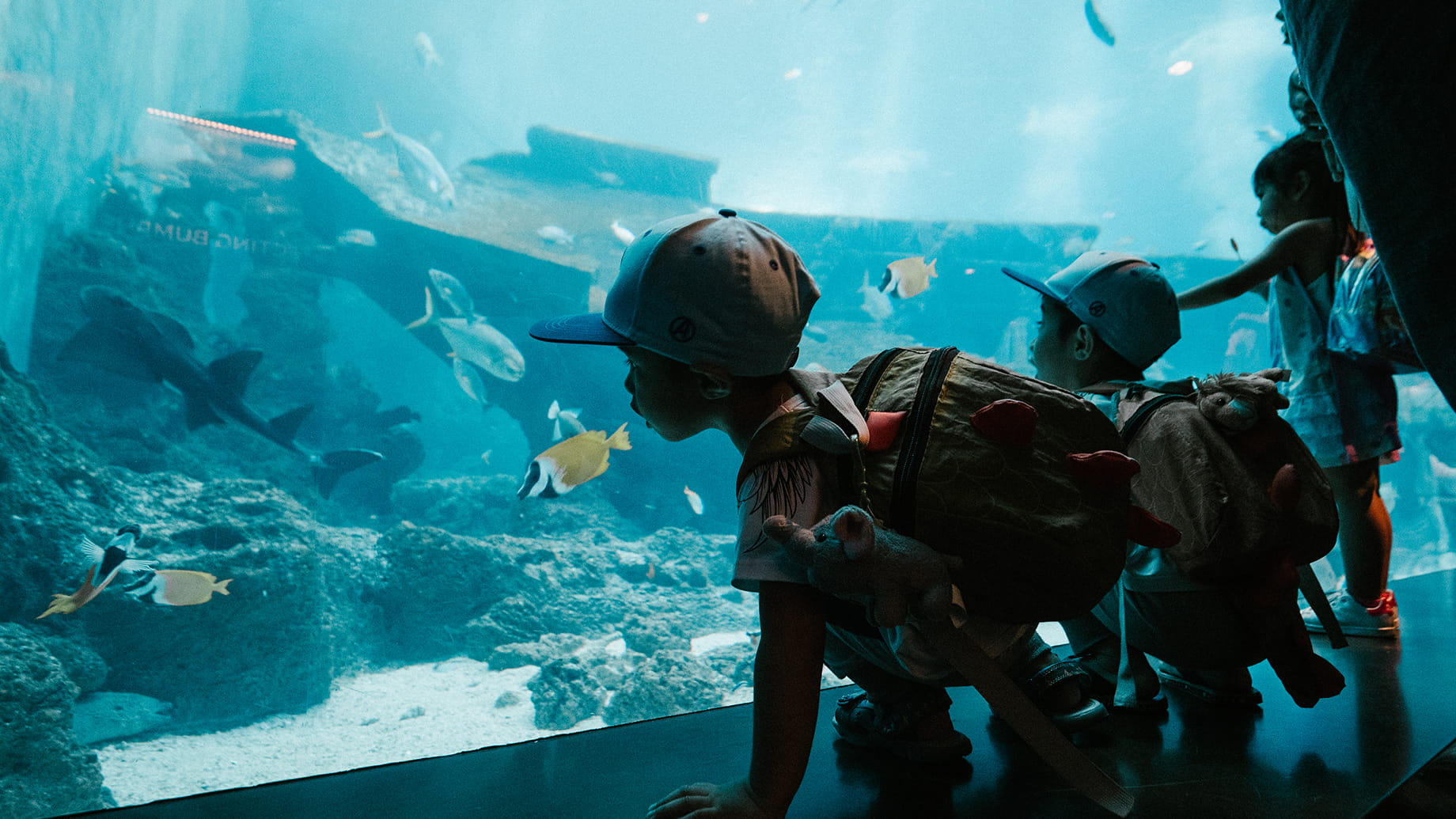 Learning Journey Programmes