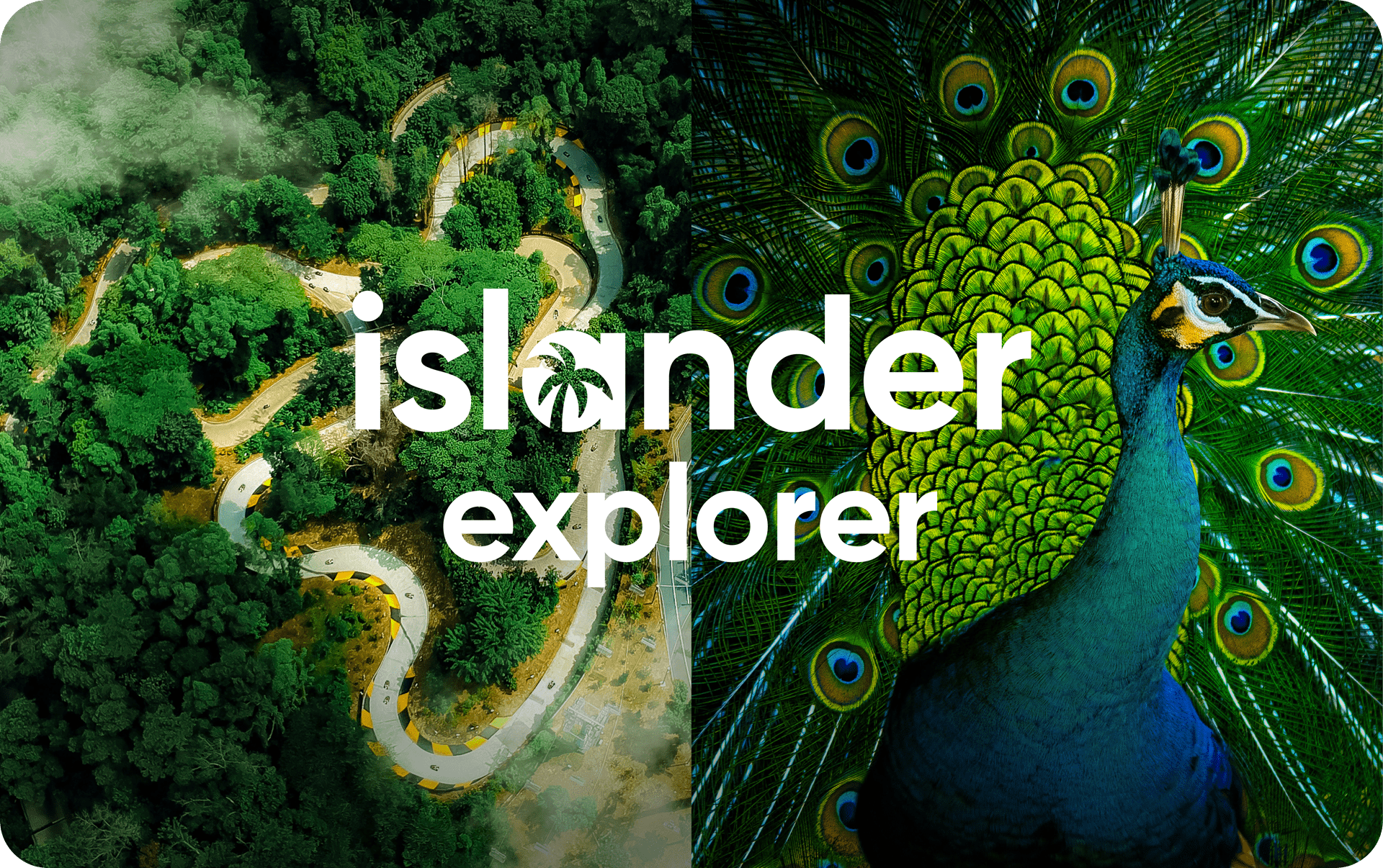 Islander