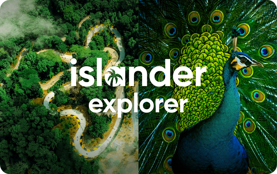 Islander