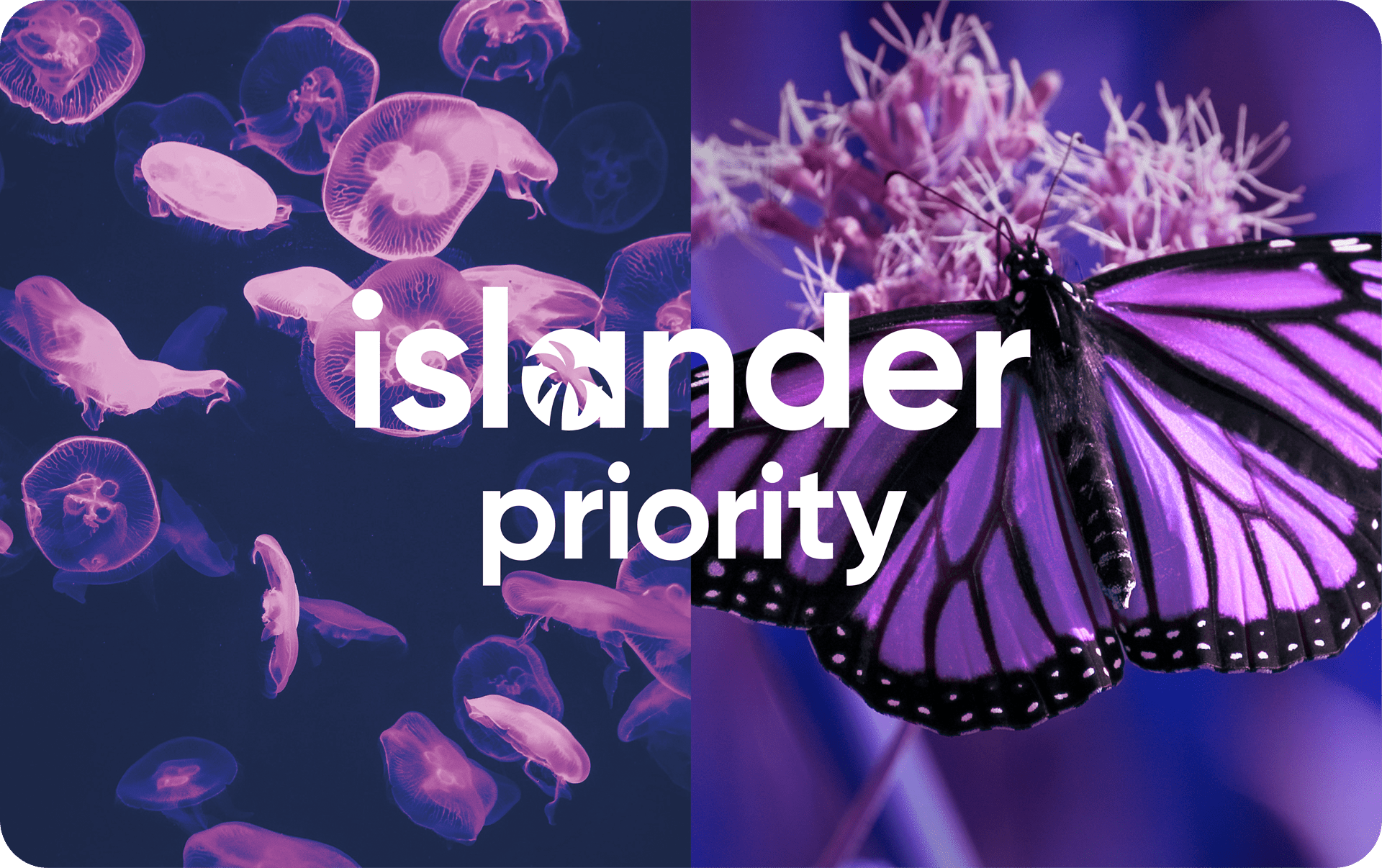 Islander